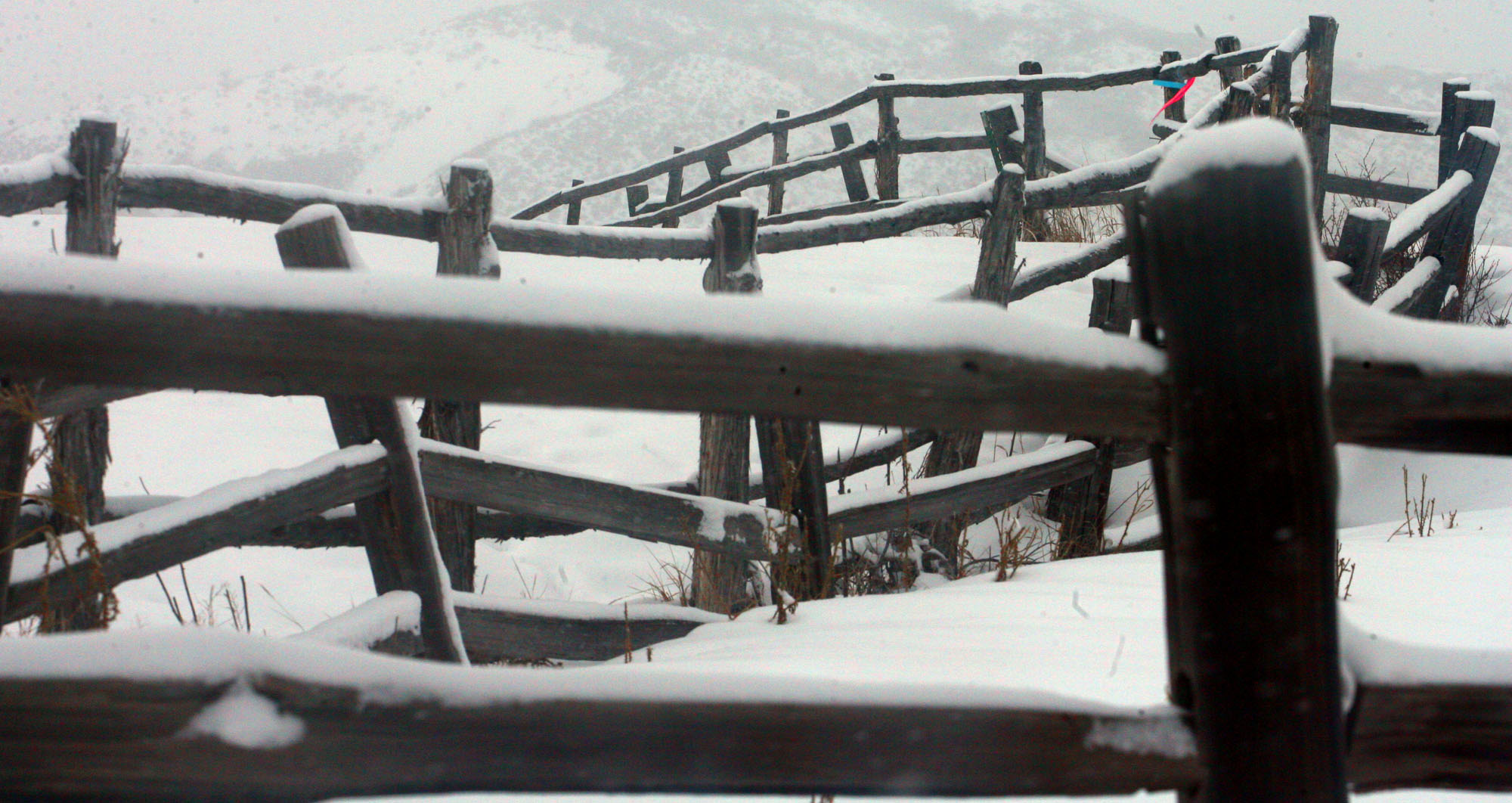 Basalt Offers More Affordable, Spacious Living | Frias Properties