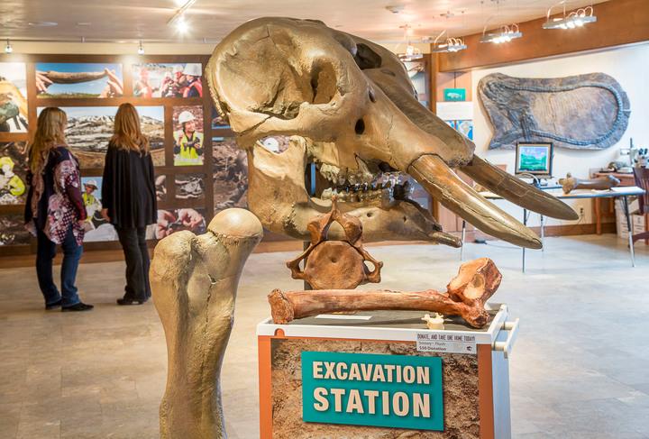 A Deep Dive into the Snowmass Ice Age Discovery | Frias Properties